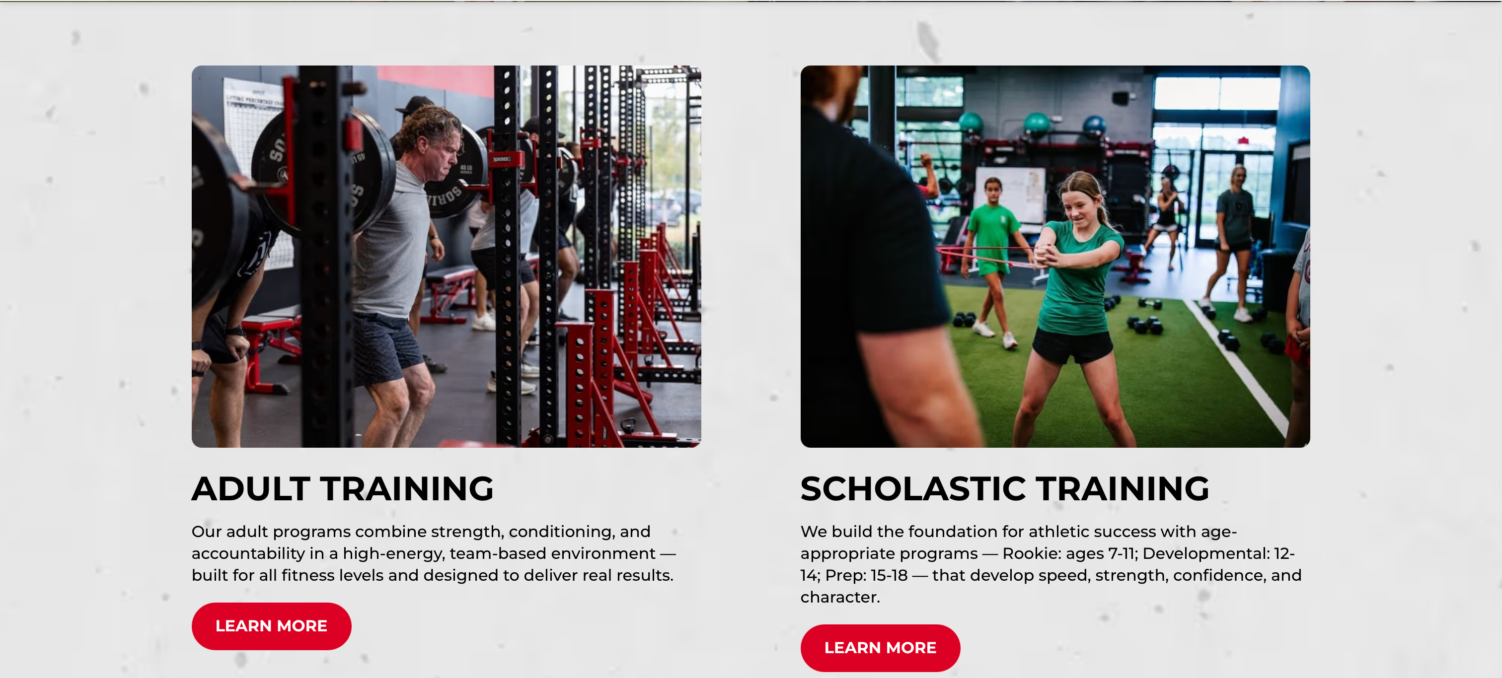 Introducing The NEW D1 Training Website | D1 Daily